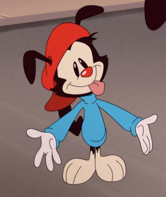 Animaniacs Wakko Face
