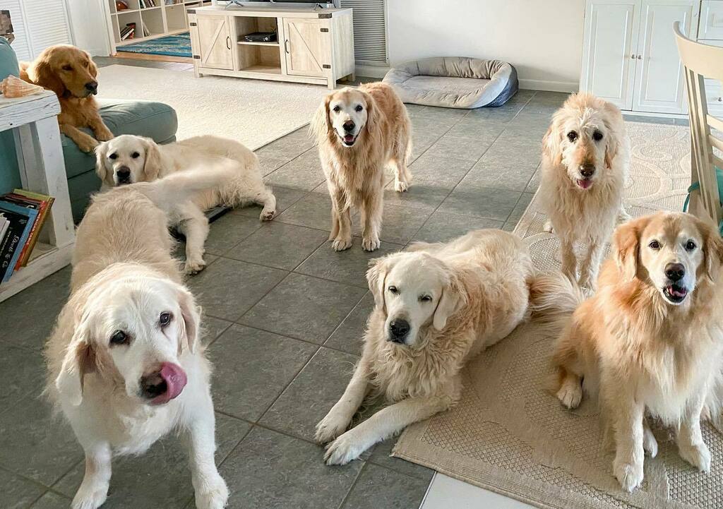 🥓 Conner Pittaway 🥓 (@PittawayConner) | Twitter