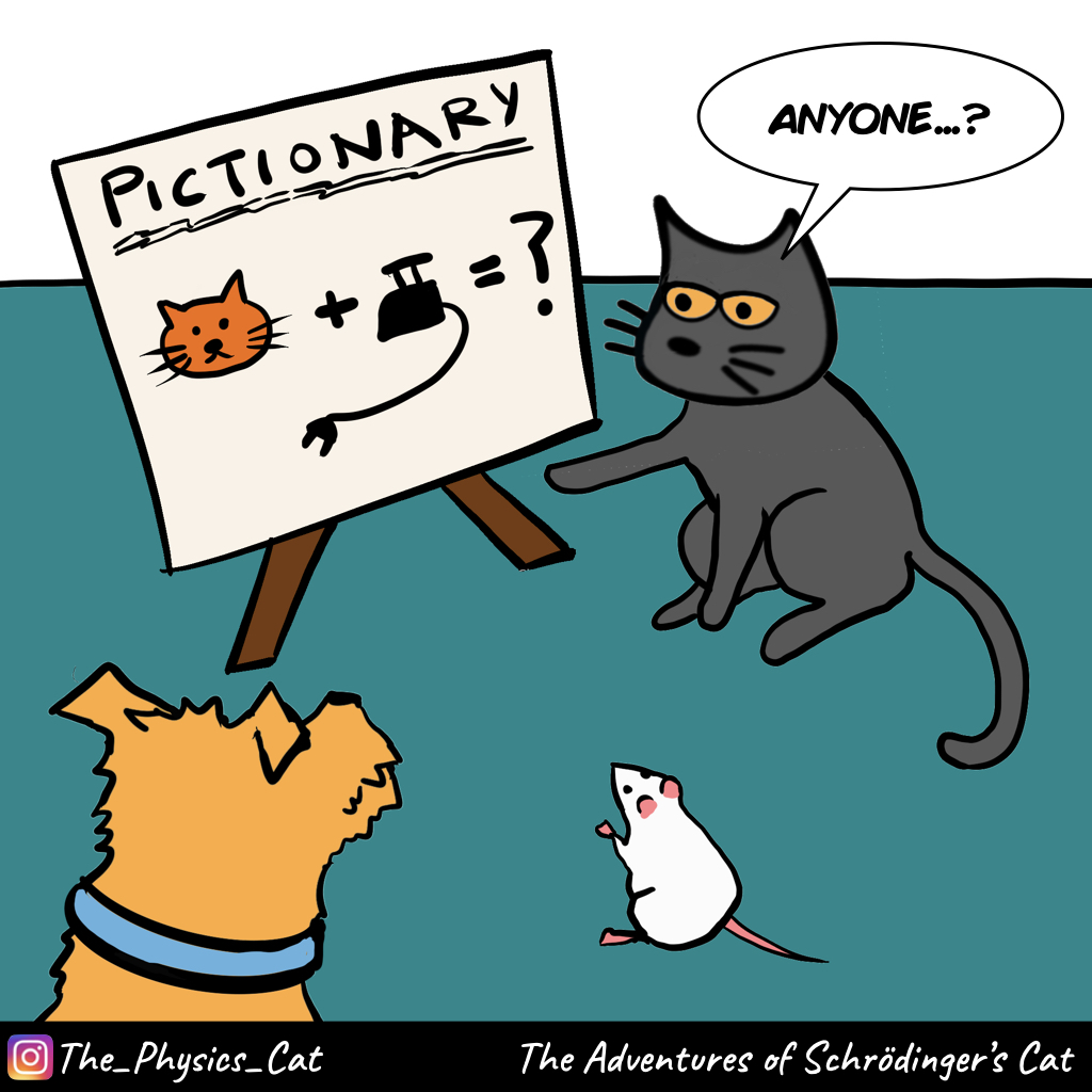 Schrodingers Cat Cartoon
