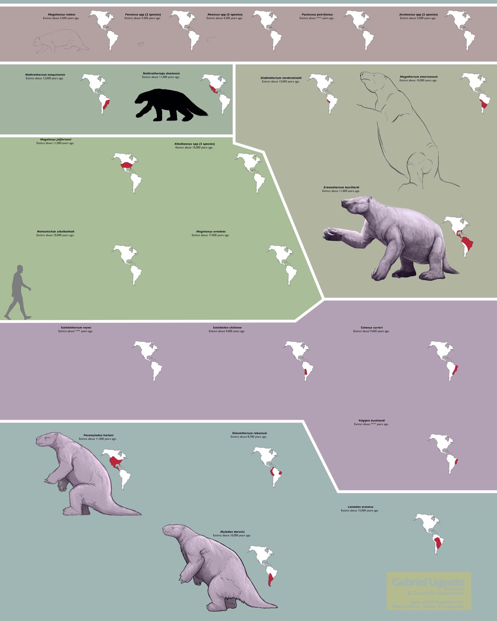 Eremotherium Range