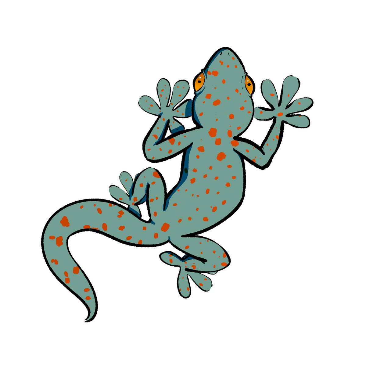 「Okay, Tokay! #gecko #tokaygecko 」|Fiona Ostby | Space Story out NOW!🚀🏳 ...