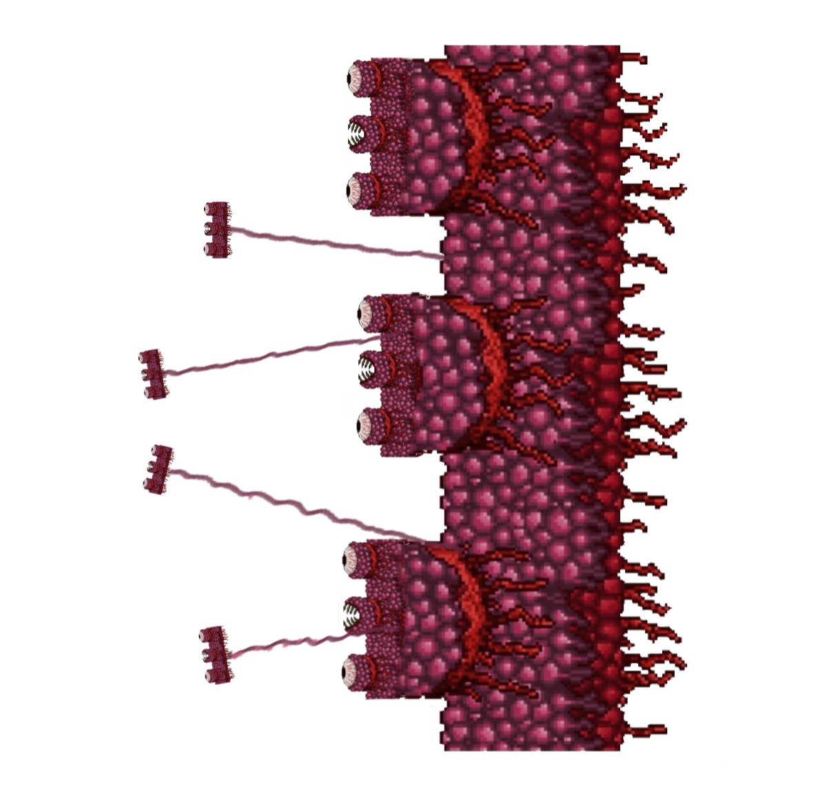 Wall Of Flesh Terraria