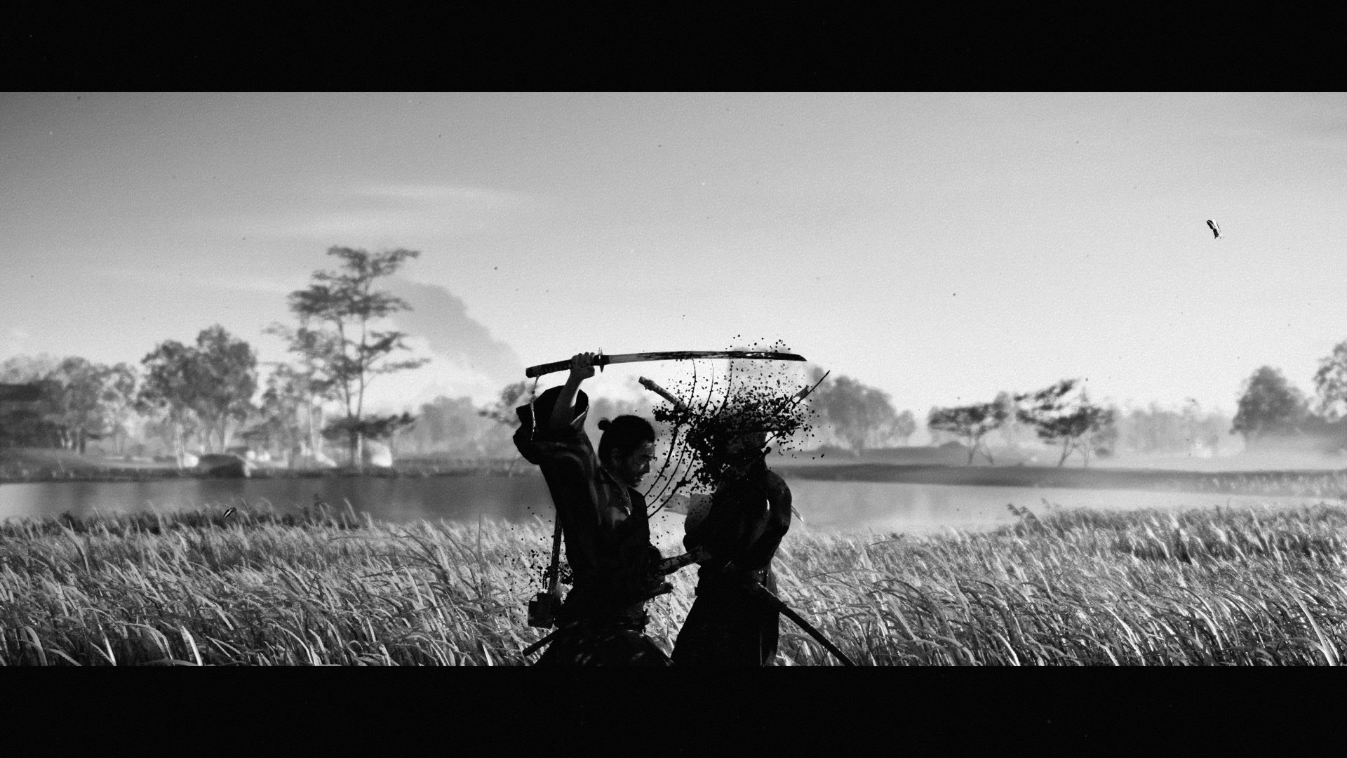 Sanjuro Wallpaper
