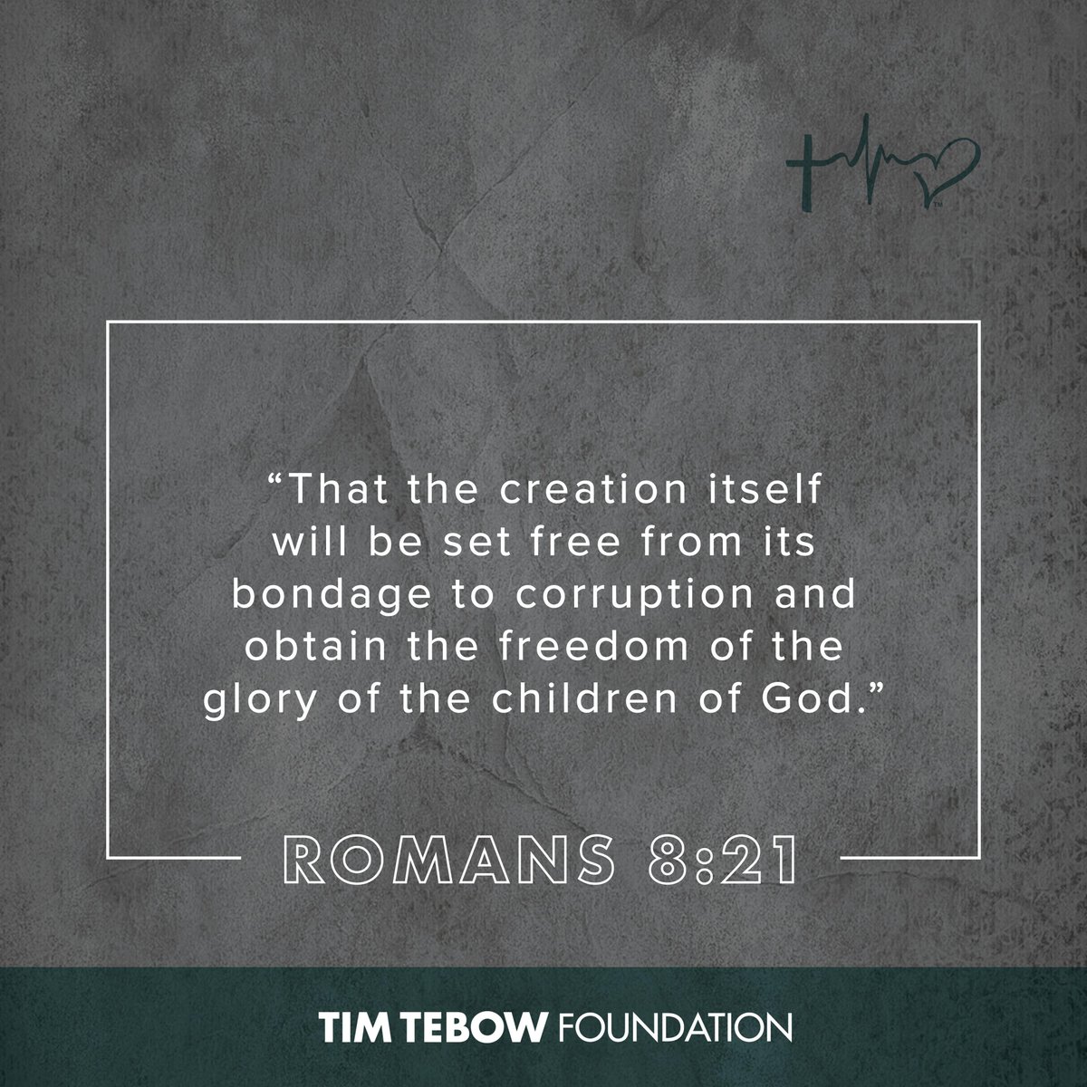 Romans 8 21
