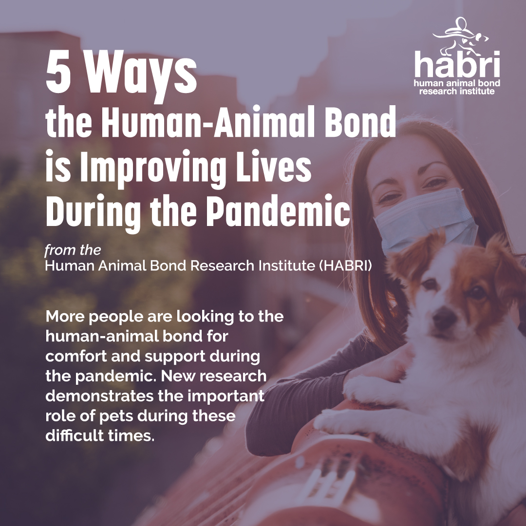 Human Animal Connection Quotes Dog's Best Friend: Annals Of The