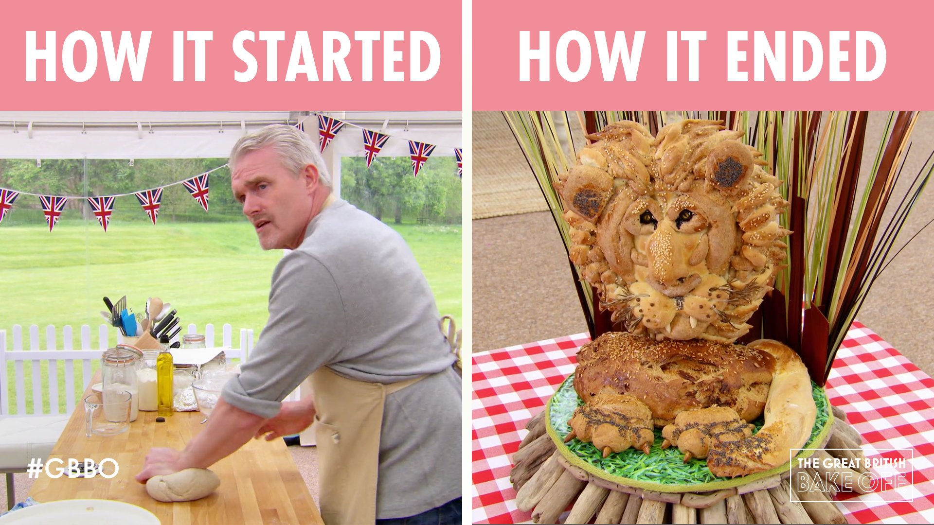 Lion Bread Memes 359 Bread Circuses Royalty Free Images, Stock Photos