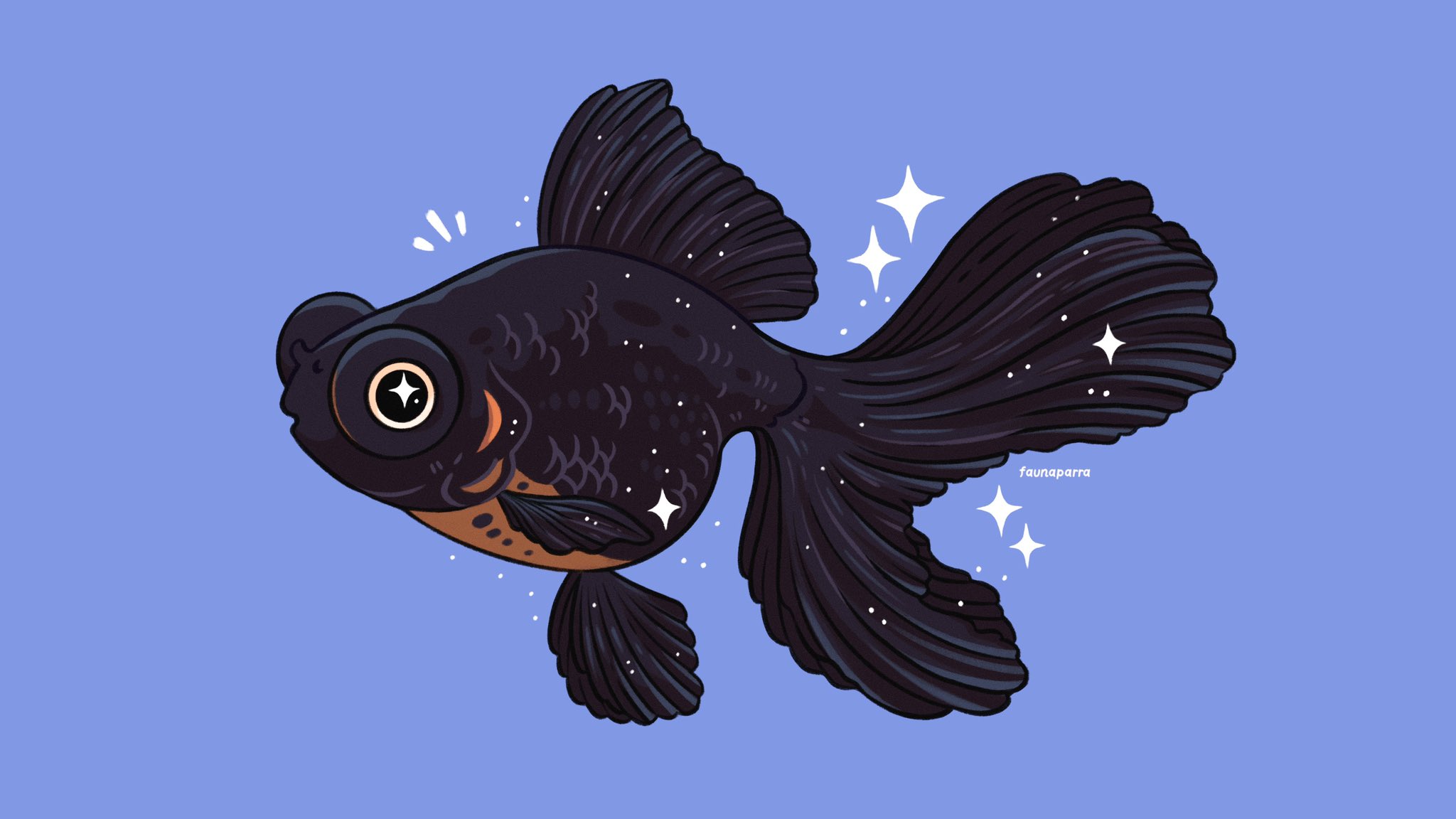 Black Moor Goldfish Drawing Page 13 | Black Moor Goldfish Images