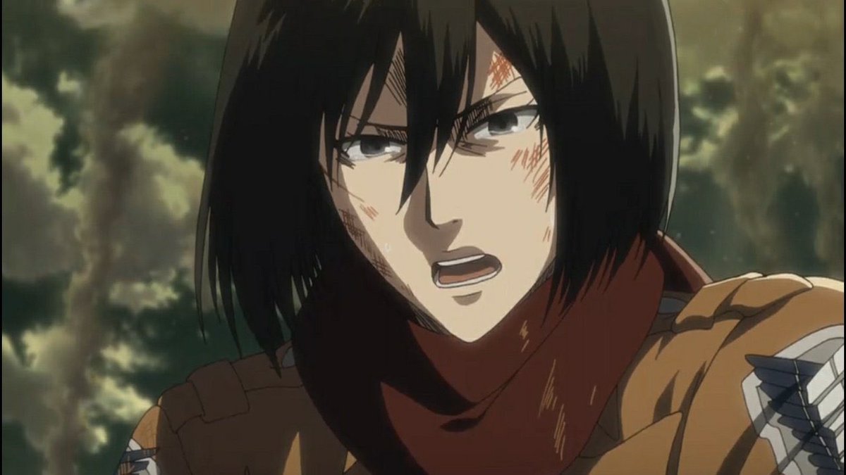 Mikasa Ackerman Face Angry