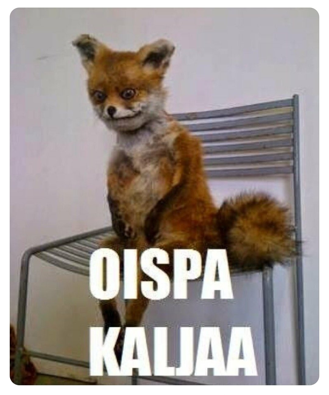 Oispa Kaljaa Memes Meemi Canvas Prints For Sale | Redbubble