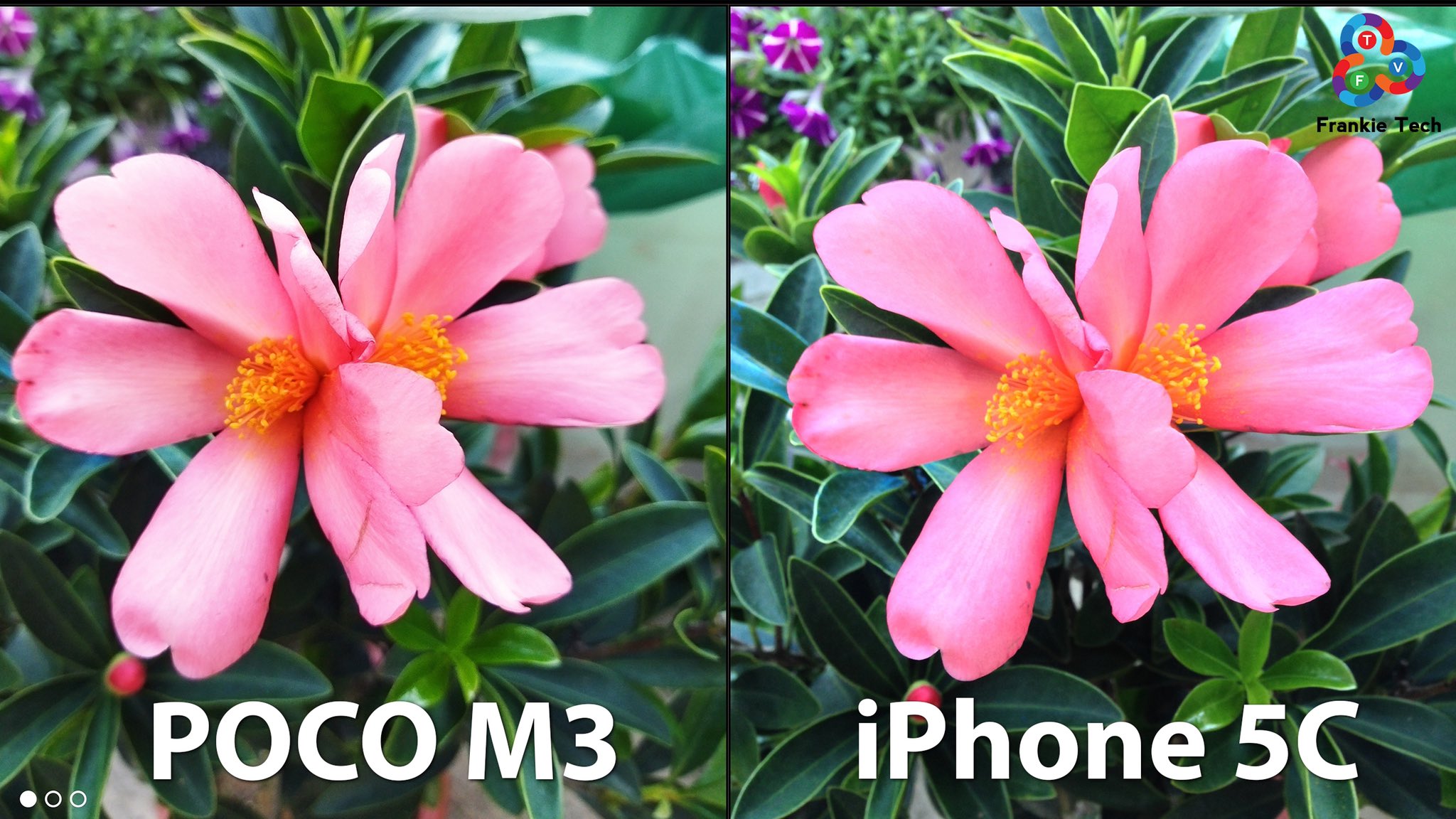 Iphone 5c Camera Test