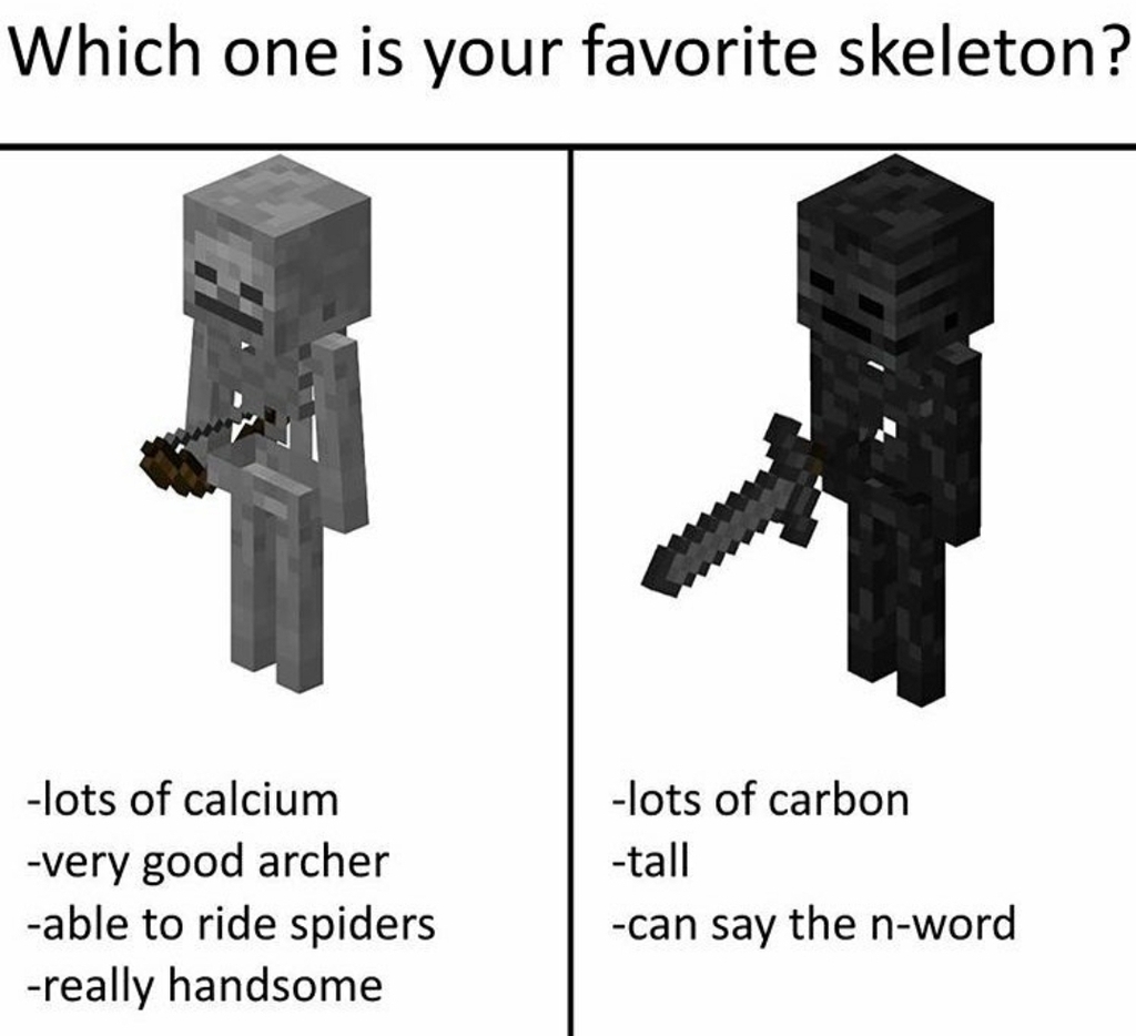 Minecraft Skeleton Memes