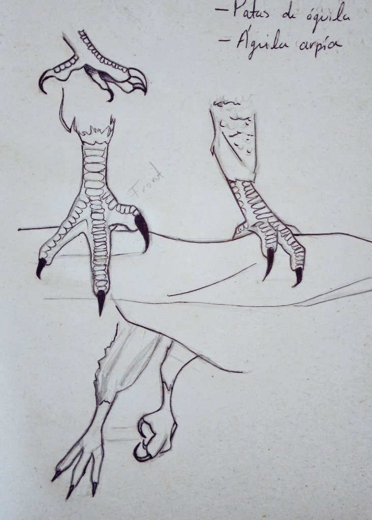 Ruby Serrano AV (@ruby_serrano_av) | Twitter