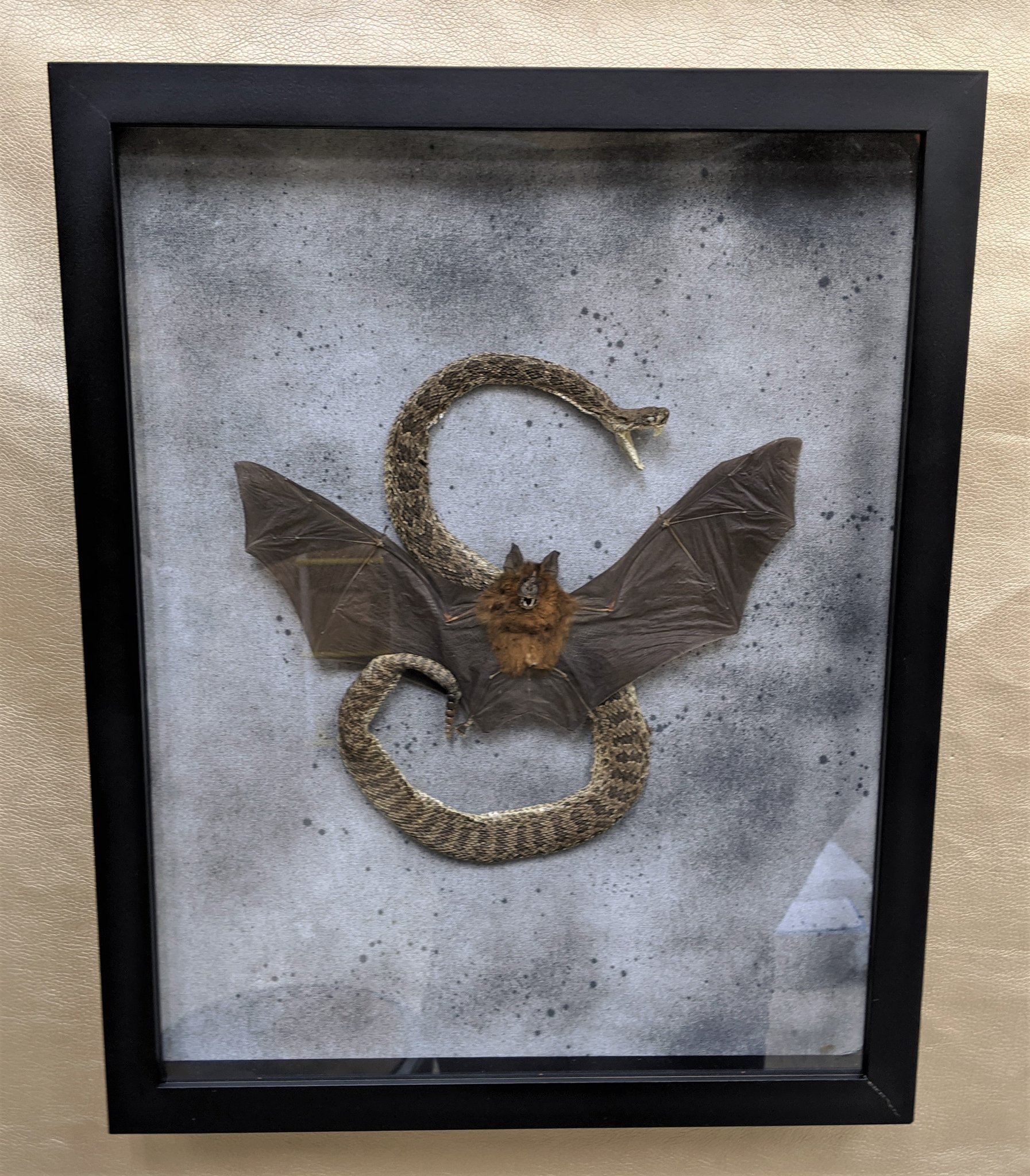 Strange Music Logo Snake And Bat