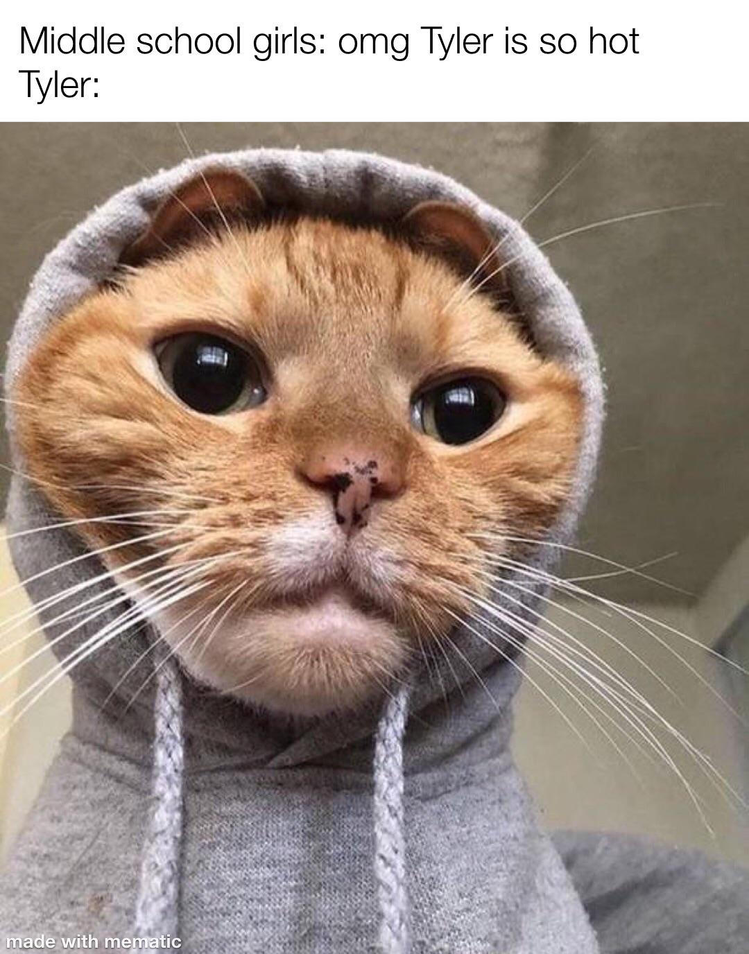 Memes De Tyler