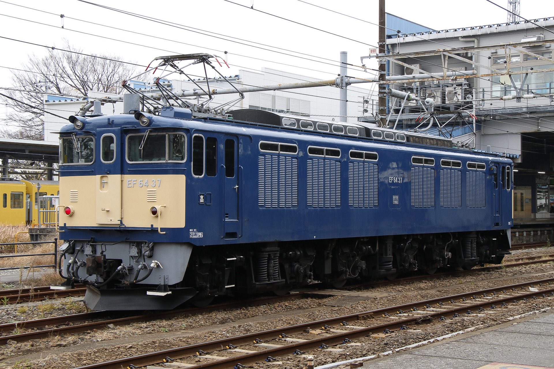 JNRハタウシ on Twitter: "EF64 37 拝島駅 https://t.co/3o4A1dXElO" / Twitter