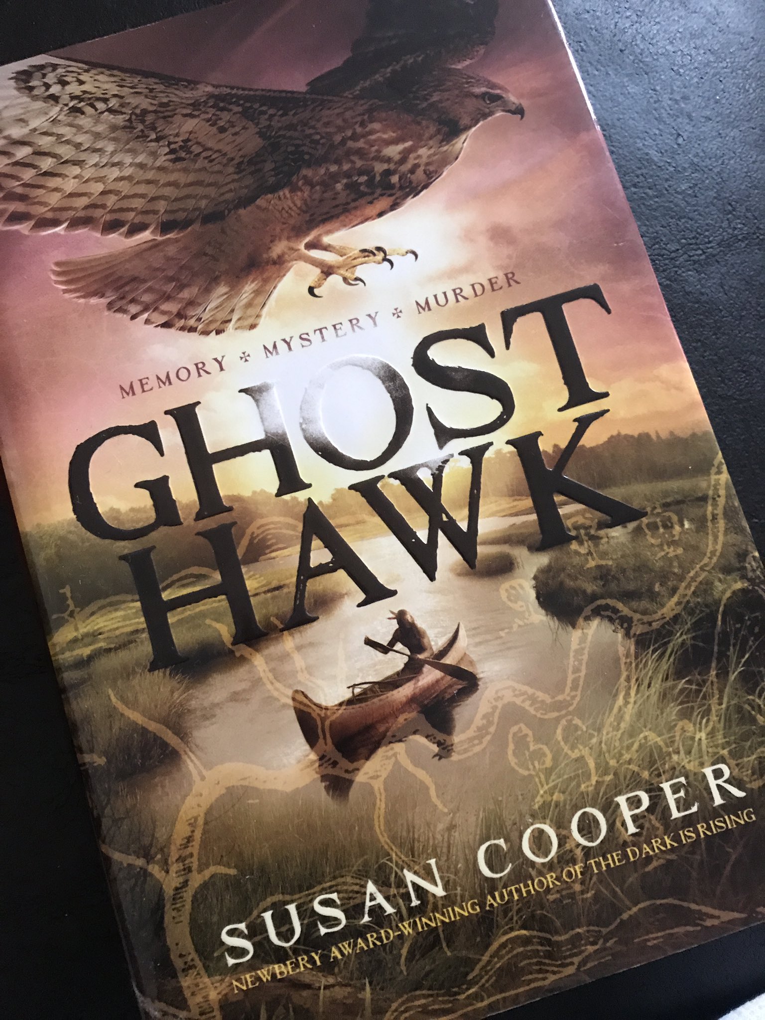 Ghost Hawk Book