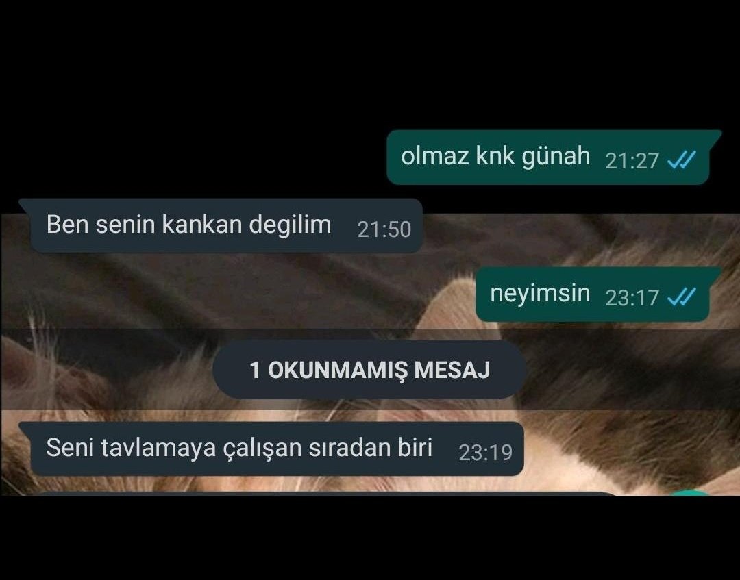 Aley (@Thothbes) | Twitter