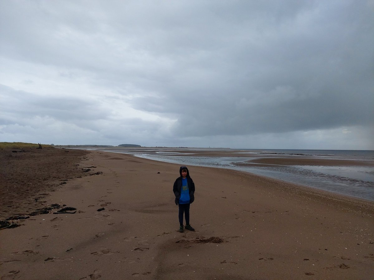 Angus and Dundee GeoSciences Society on Twitter : r/Paul_Ewing_GeoSci_Soc