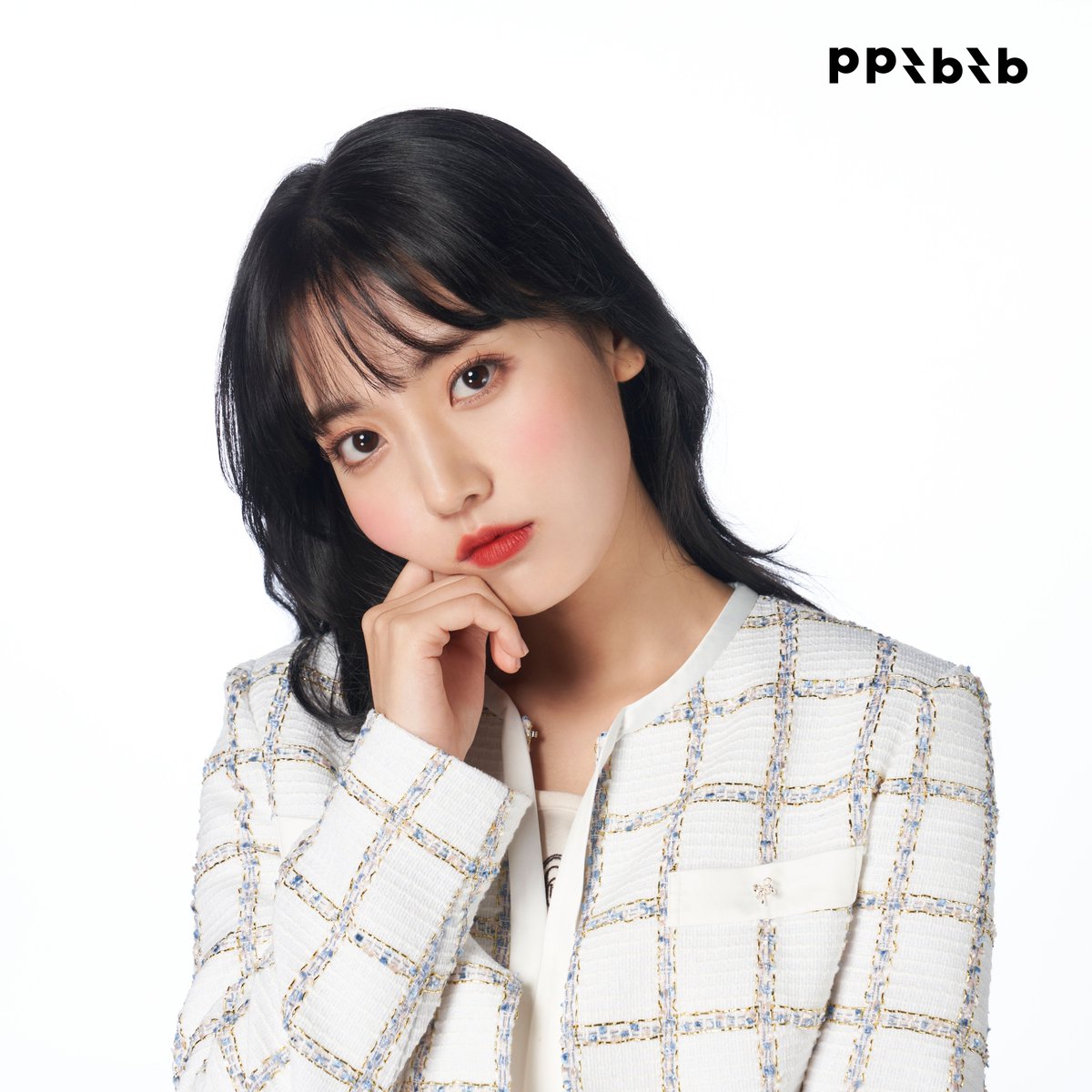 삐빕 Ppibib Ppibib Twitter