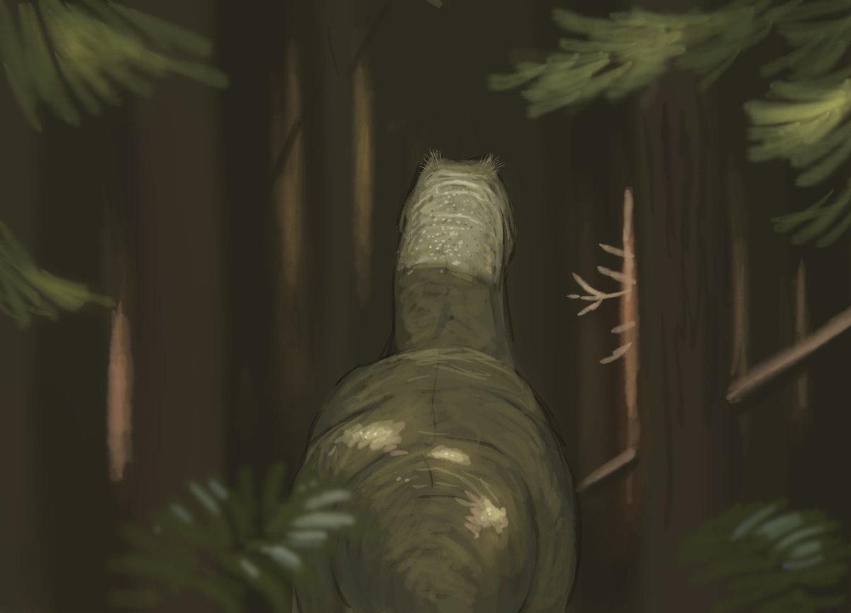 Twoucan - Joschua Knüppe (@JoschuaKnuppe)