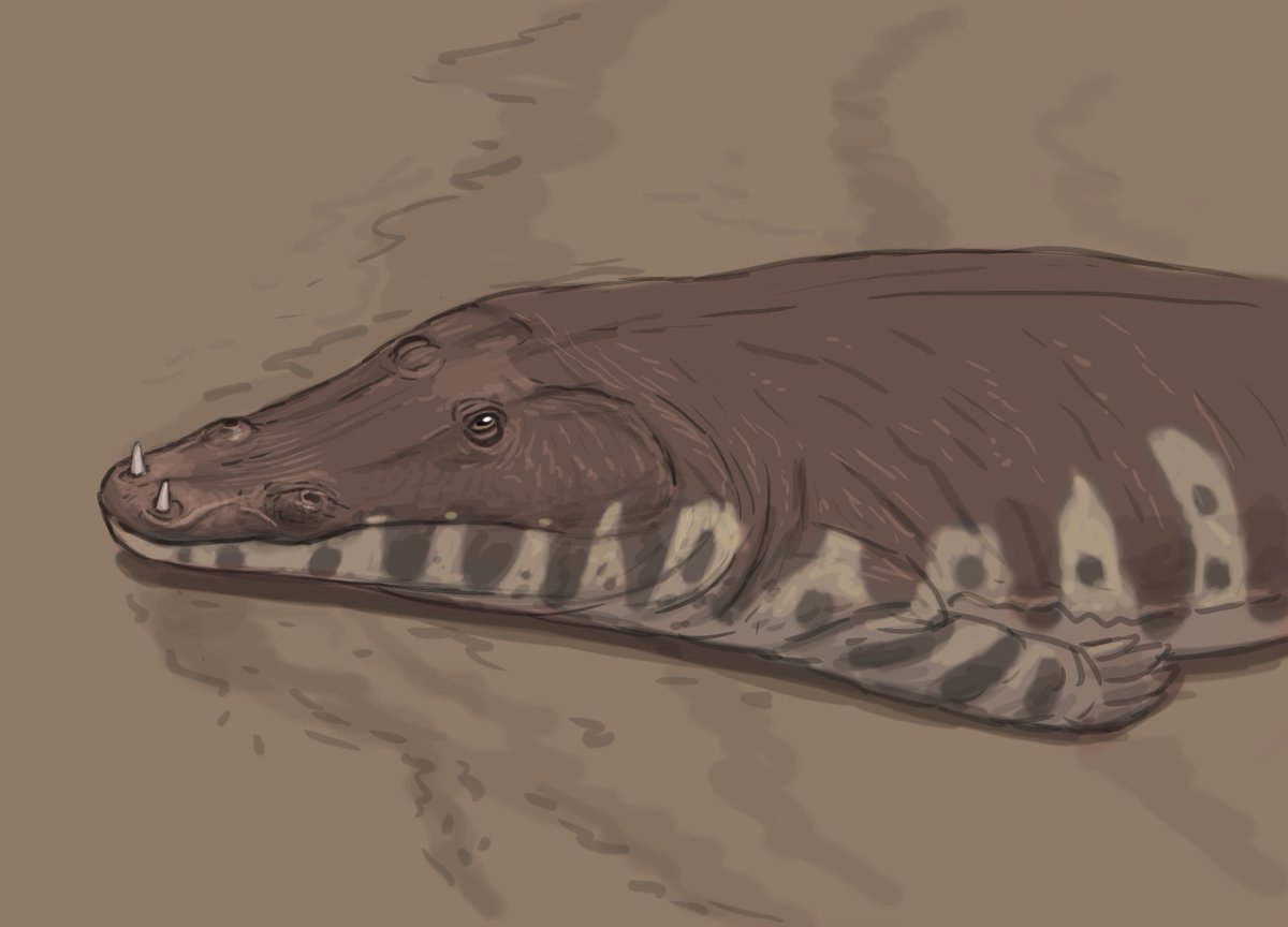 Twoucan - Joschua Knüppe (@JoschuaKnuppe)