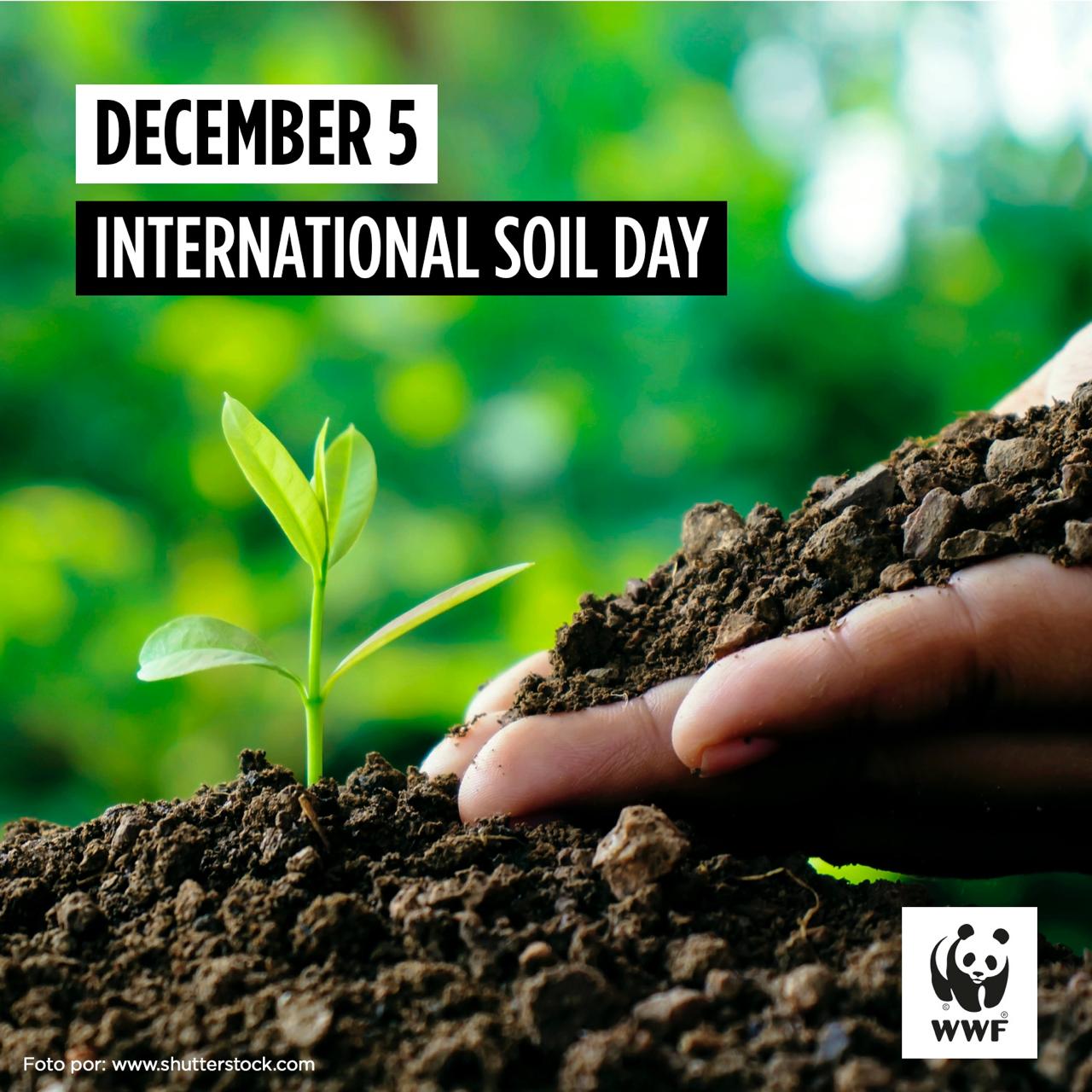 The Importance Of Soil Conservation