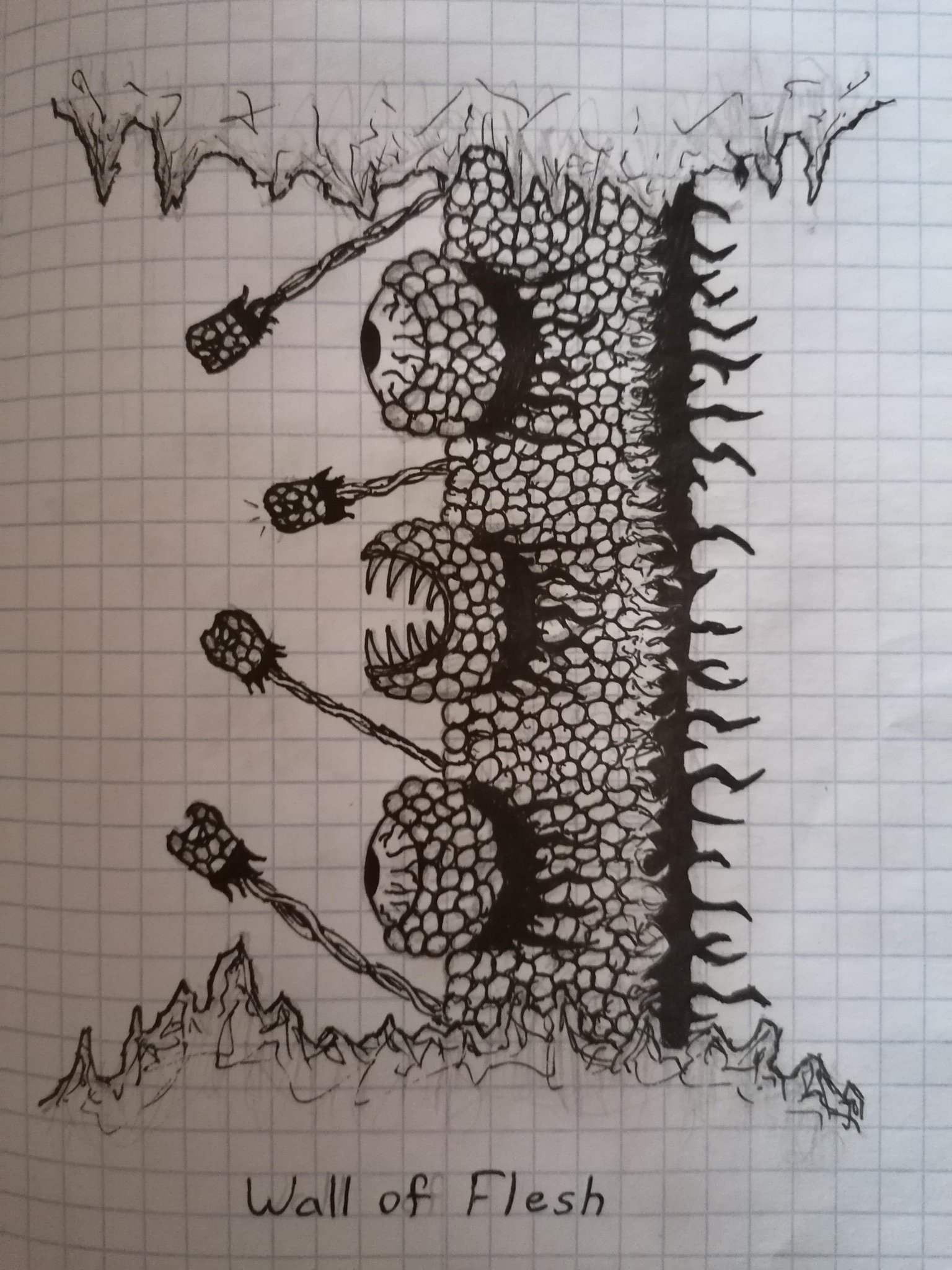 I Drew The Wall Of Flesh Terraria FAN MADE TERRARIA BOSSES | Terrarian