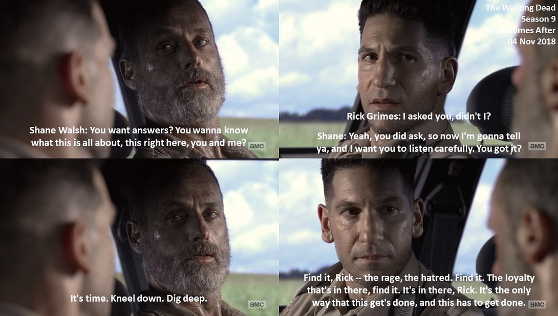 Shane Walsh Meme