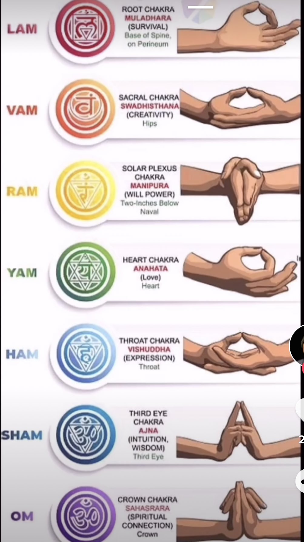 Hand Chakras