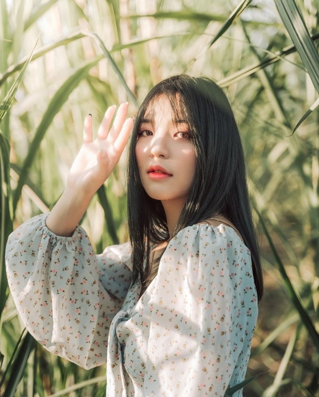 ORN pics (@OrnPics) / Twitter