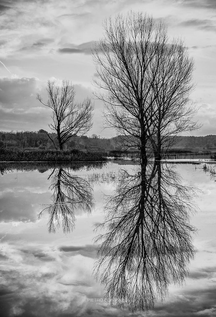 Reflections Photography Black And White