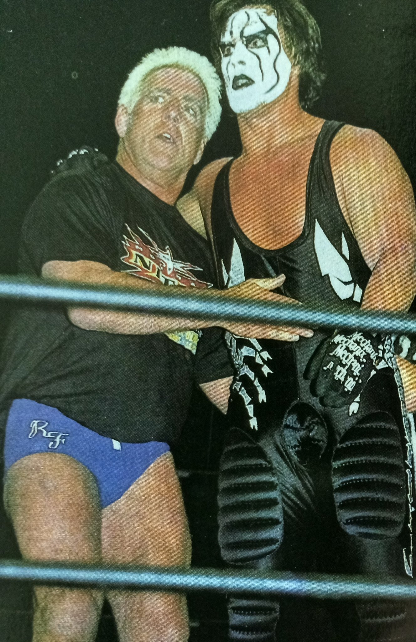 Wcw Sting 2001