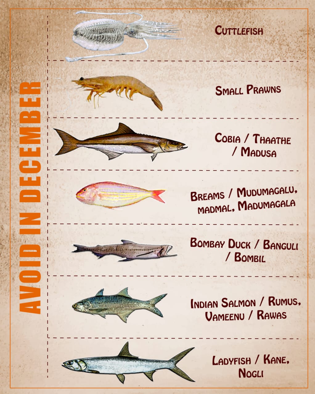 Indian Fish Species