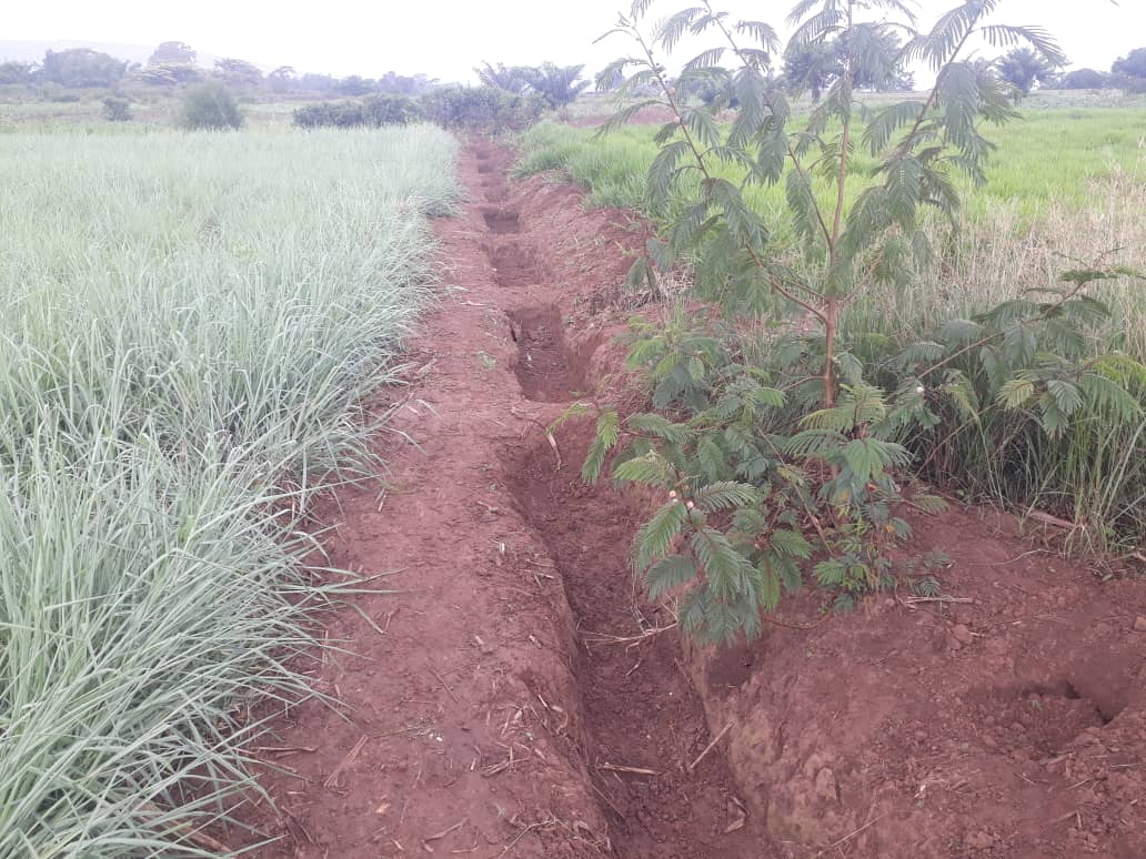 Preventing Soil Erosion Terracing