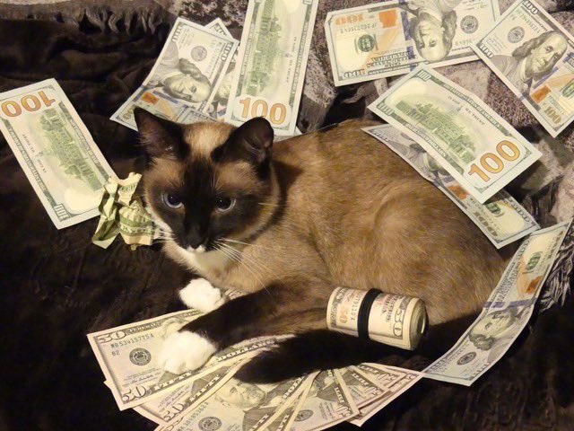Cats With Money