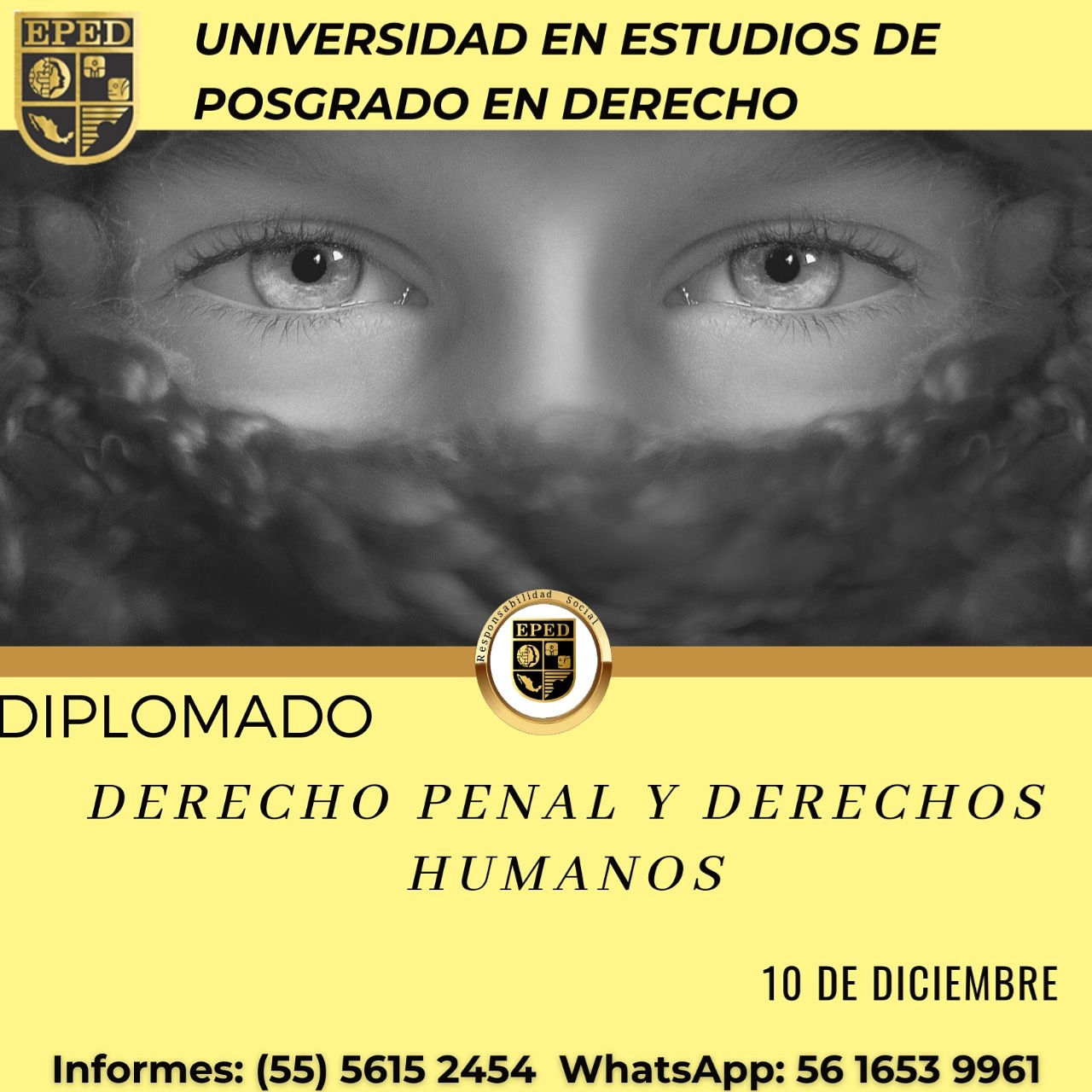Universidad en Estudios de Posgrado en Derecho (@Eped_mx) / Twitter