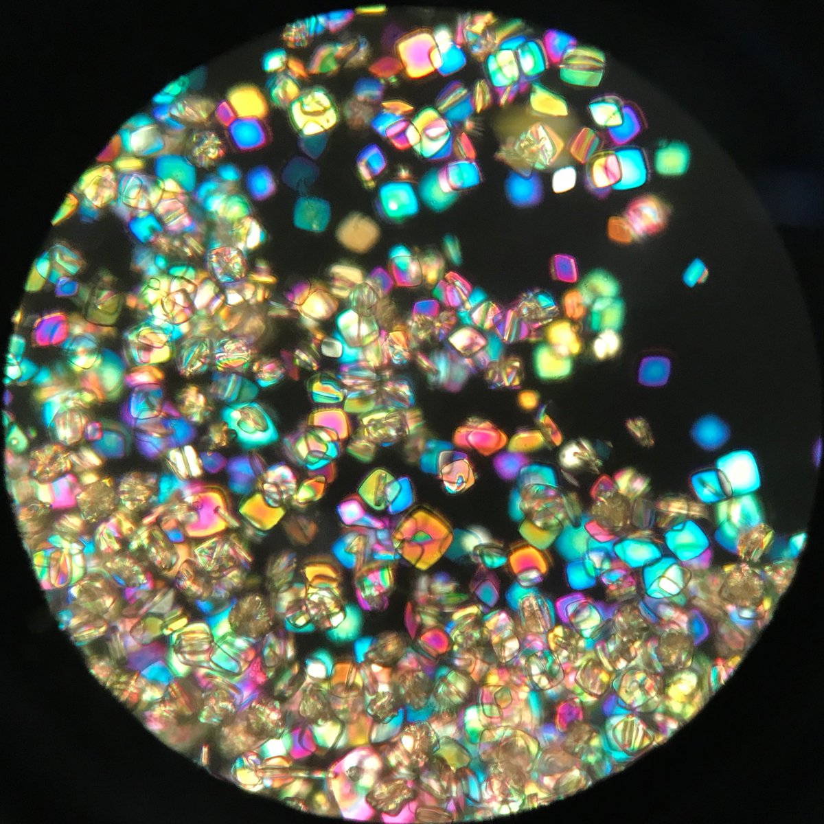 Polarized Light Microscopy Crystals