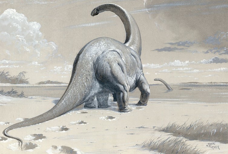 Grant Harding (@abstractgrant) さんのイラスト・マンガ作品まとめ (3 件) - Twoucan