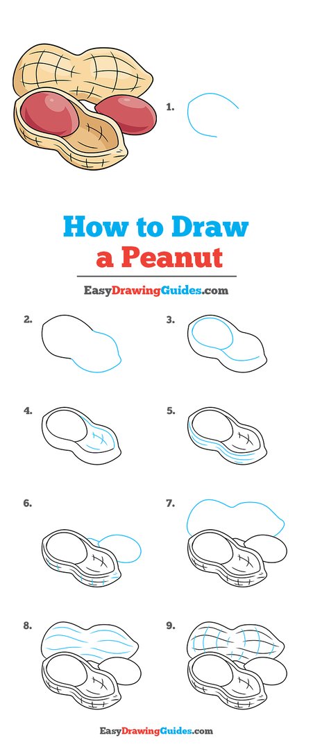 Peanut Drawing