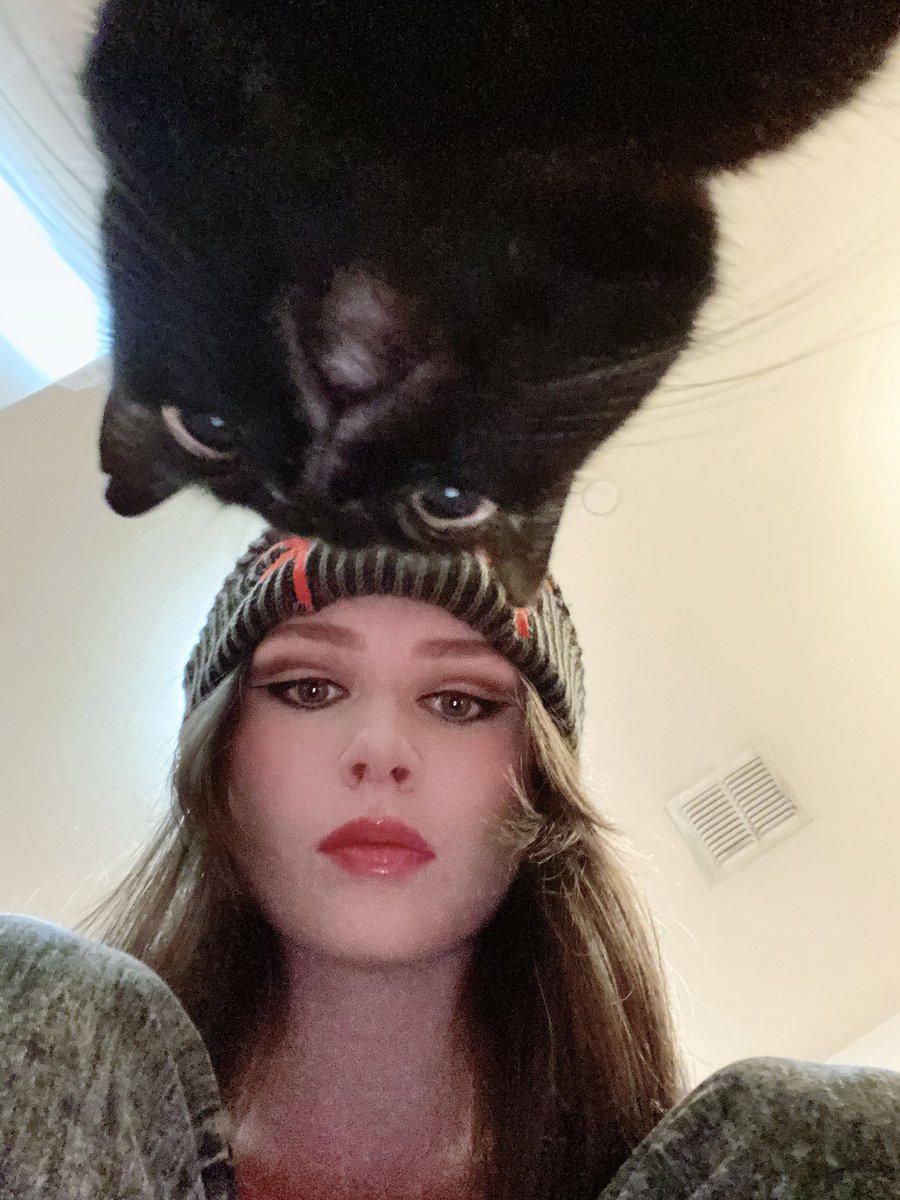 Twoucan - tasha 🕸 (@tashalej)