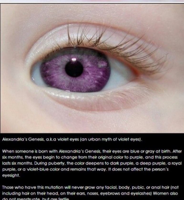 Purple Eyes Alexandrias Genesis