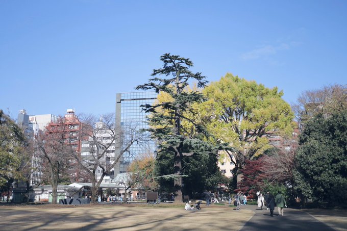 なみこ(@mokumoku_nmk) - Twilog