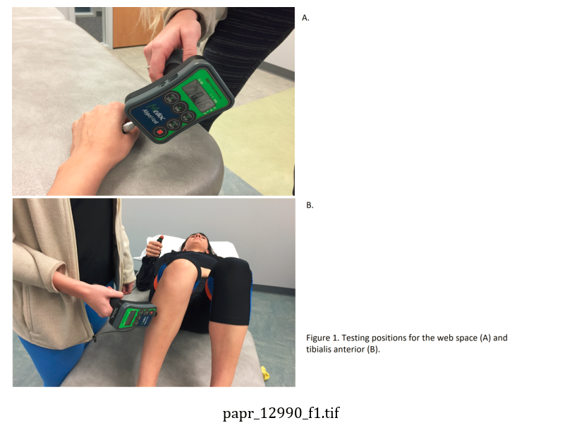 Physio Meets Science On Twitter Quantitative Sensory Testing