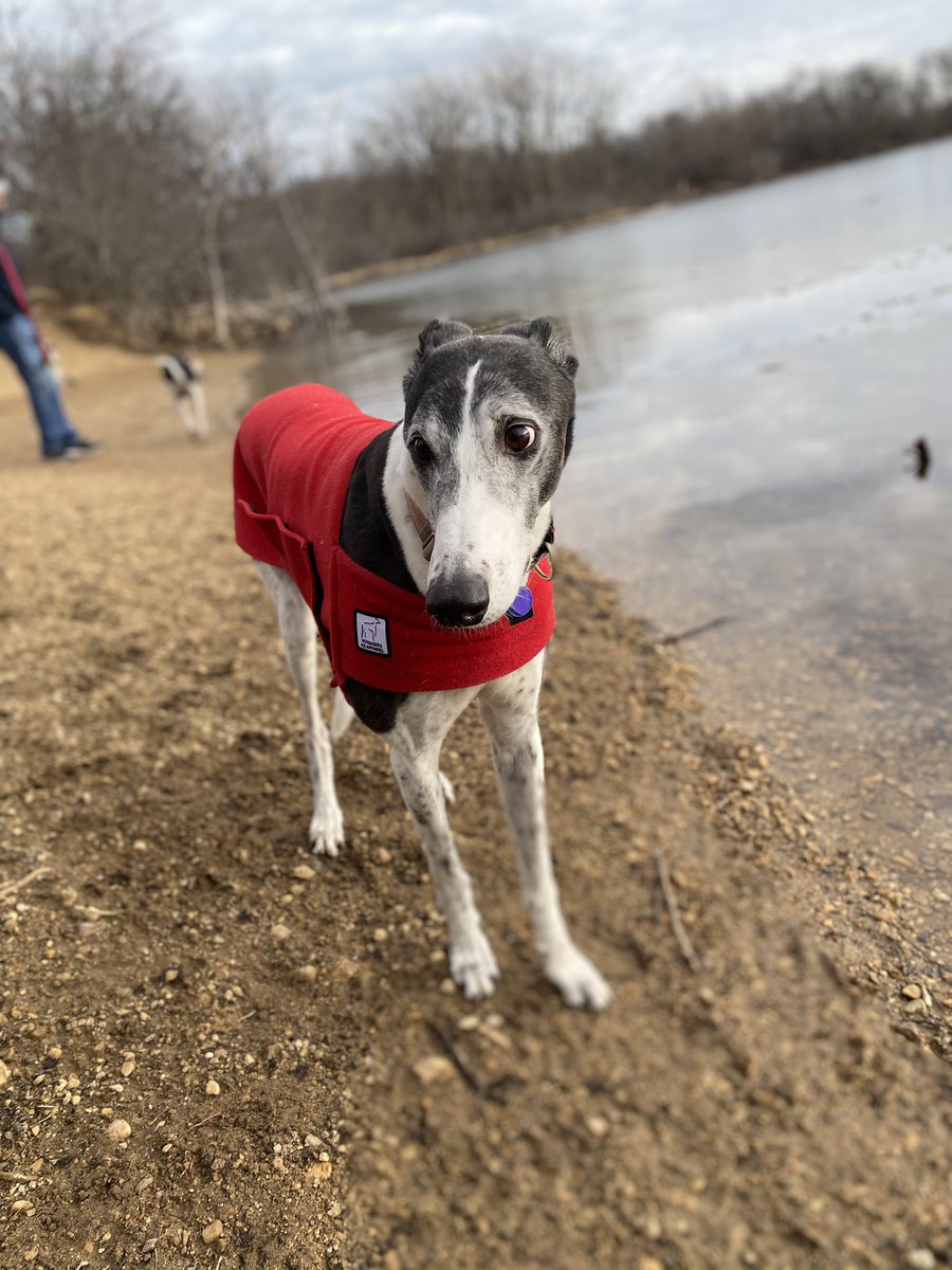 Are Dogs Allowed At Independence Grove