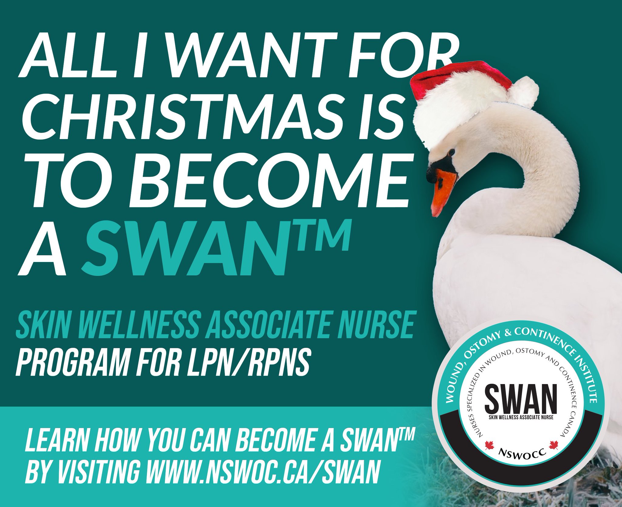 Skin Wellness Associate Nurse (SWAN) Program: Application - Wound ...