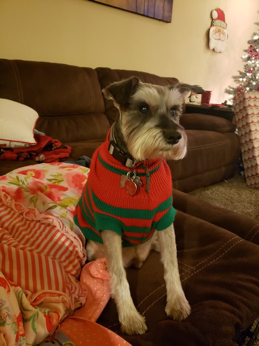 Sandra Matney (@sandra_matney) | Twitter