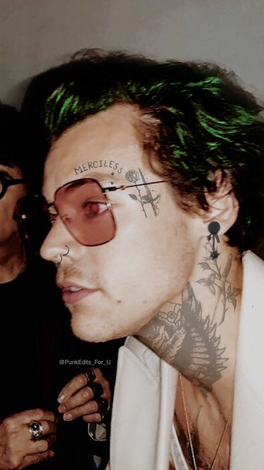 Harry Styles Punk Edits Tumblr