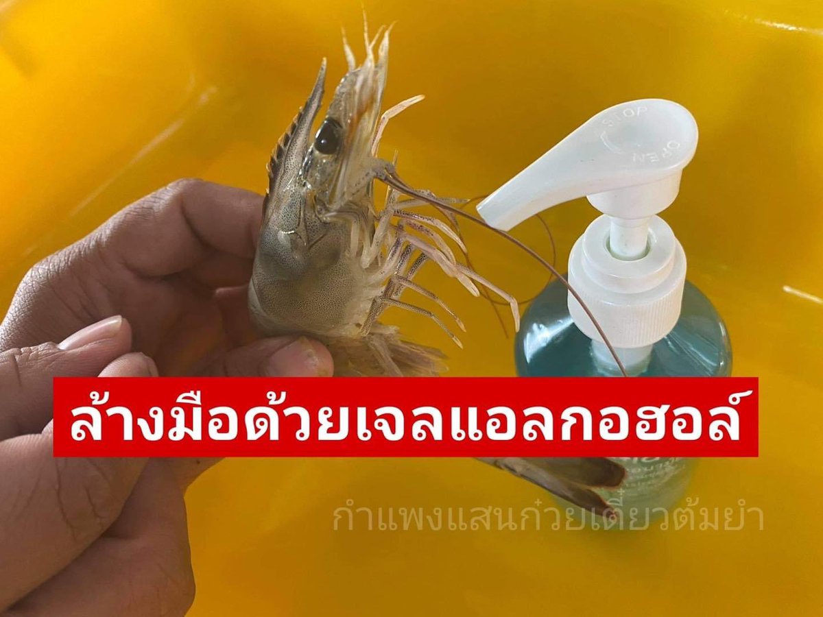 Ploy.VIP (@Ploy_VVIP) | Twitter