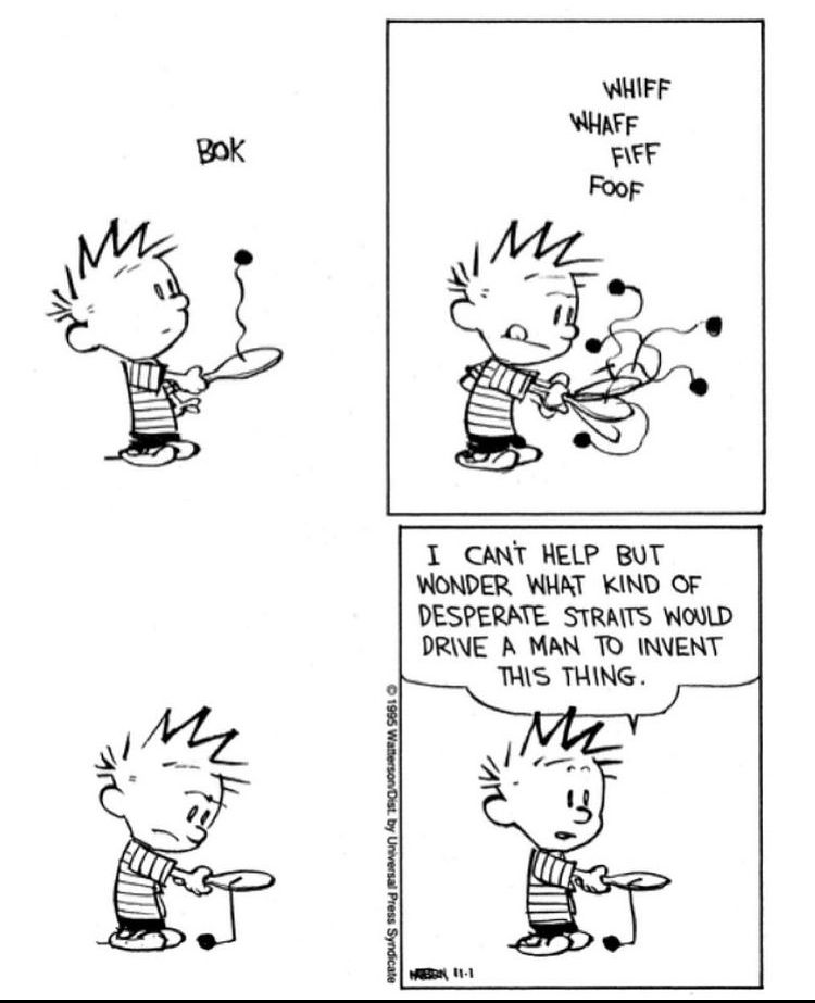 Calvin From Calvin And Hobbes Expressions