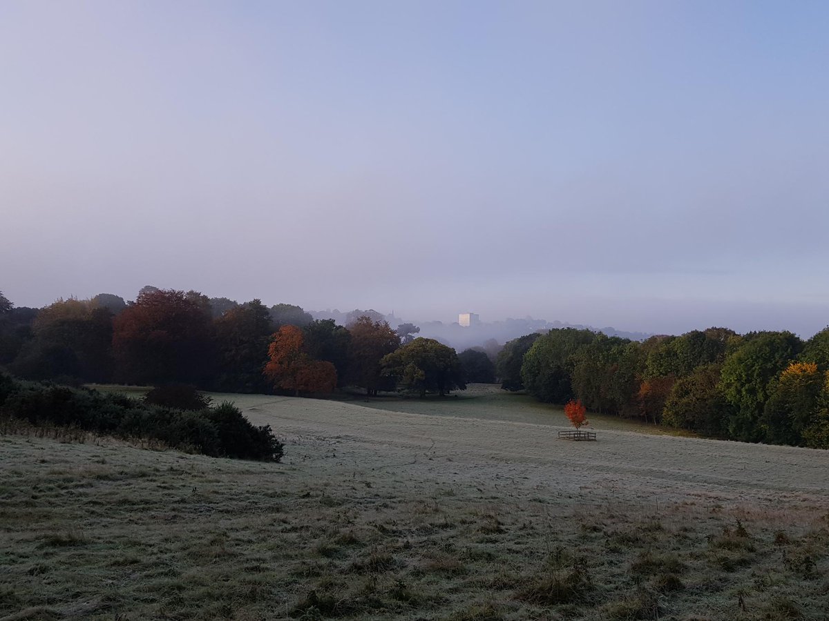 The Auckland Project | Days Out North East England